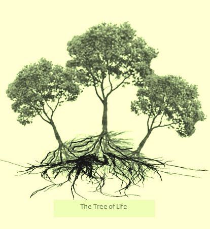 Life Trees Program - Learn With Universal Mind, lwum, learn with ...